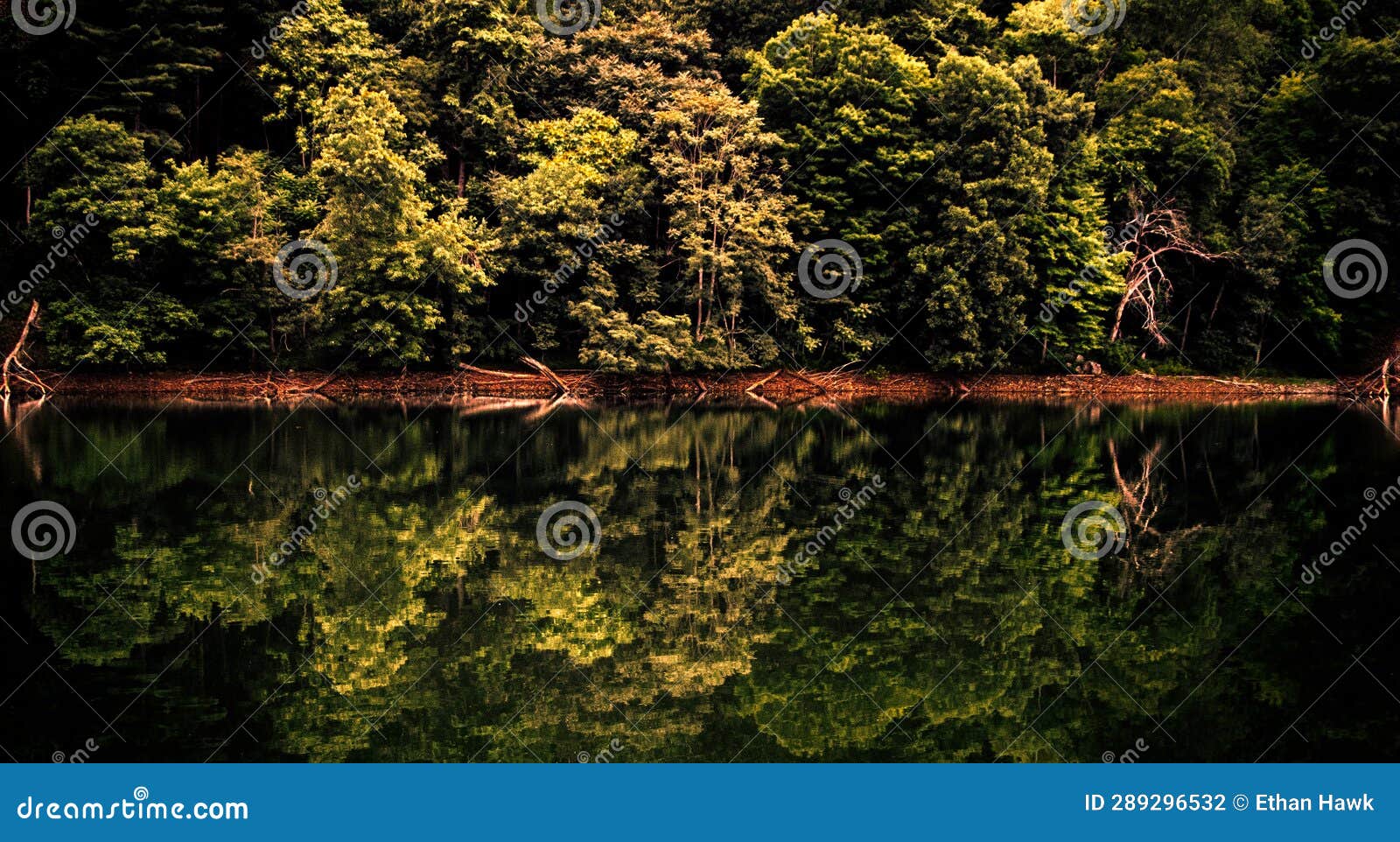 The Reflection of the Forrest on the Riverbank Stock Photo - Image of ...