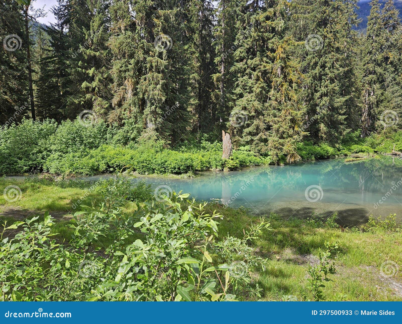 Stunning Lake in Hyder, Alaska Stock Image - Image of green, nature ...