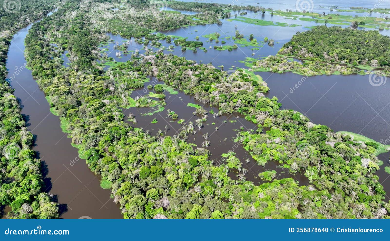 Stunning Landscape of Amazon Forest at Amazonas State Brazil. Stock ...