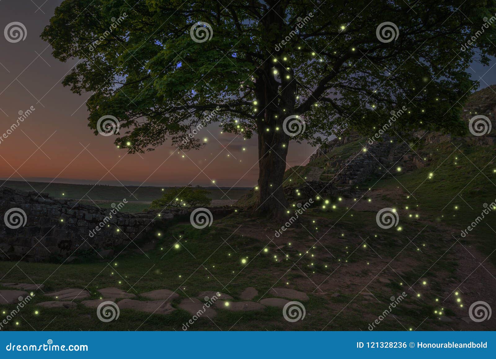 Beautiful Landscape Image of Sunset with Fireflies Flying Around Stock ...