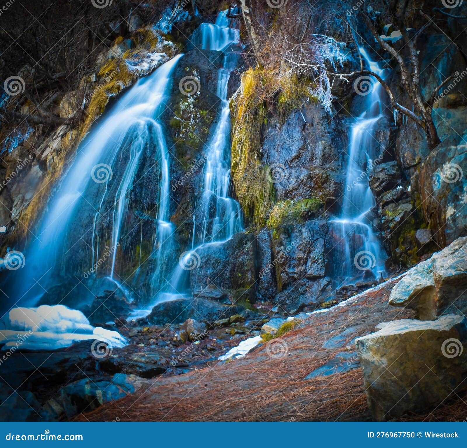 Stunning Long Exposure of Carson City Falls, Located in a Lush ...