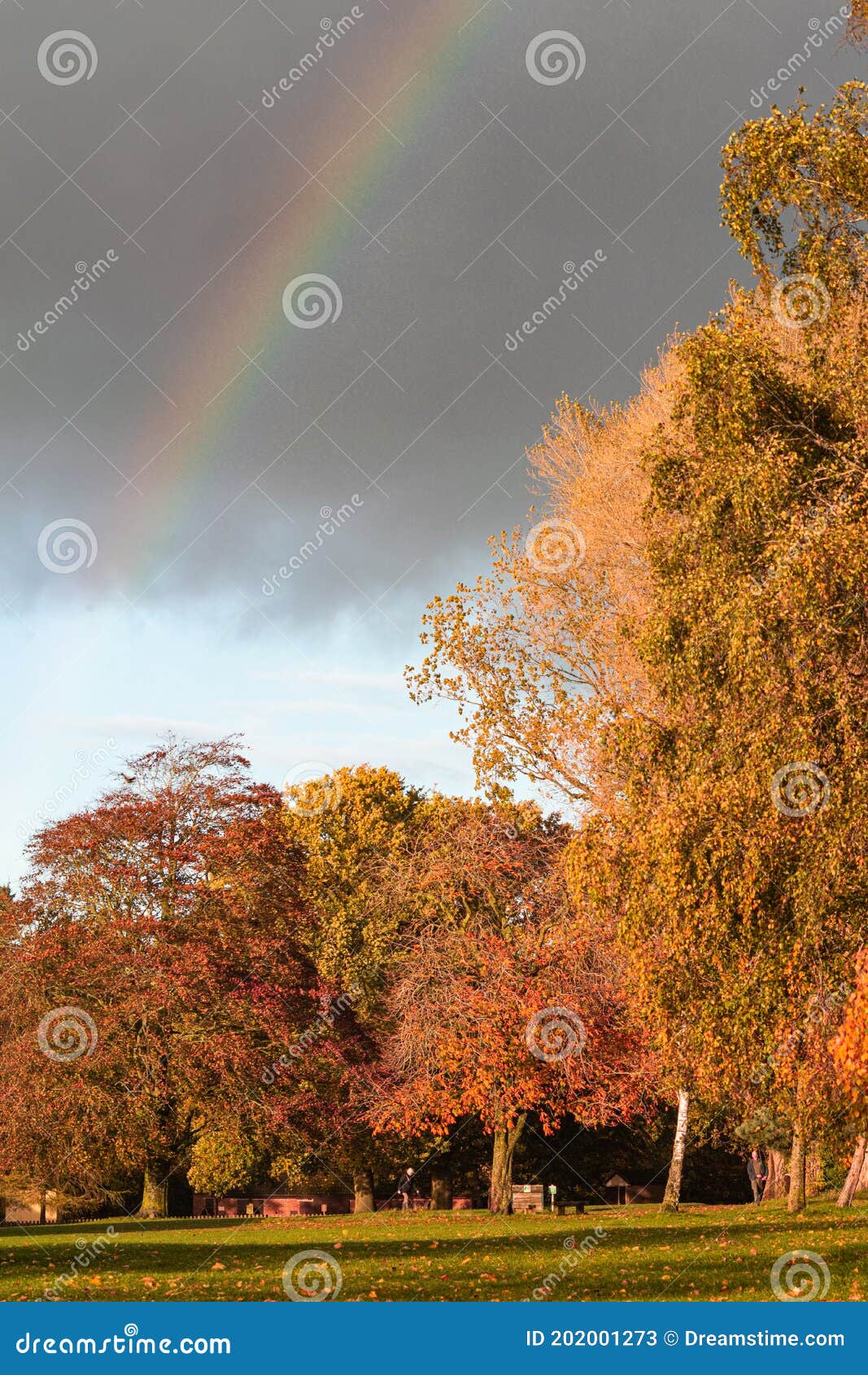 Stunning October Afternoon with a British Rainbow Stock Image - Image ...