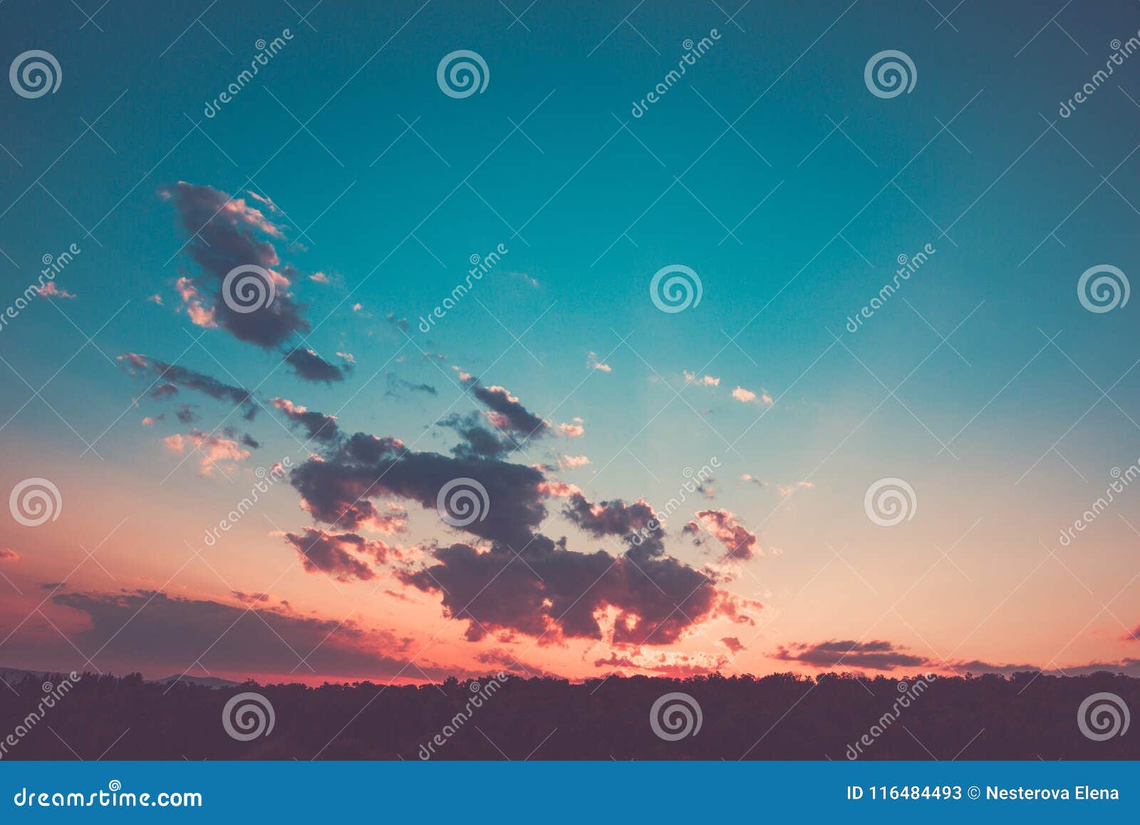 Stunning pink sunset stock image. Image of nature, lake - 116484493