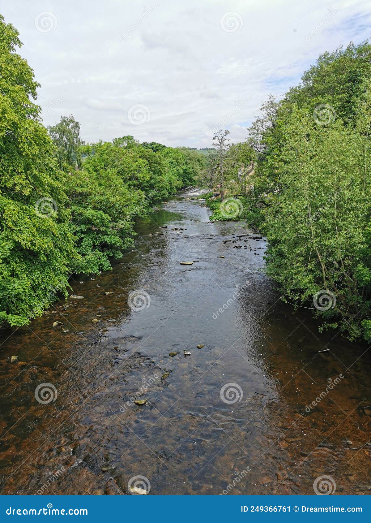 A Stunning River and Beautiful Trees Running Down the Sides. Stock ...