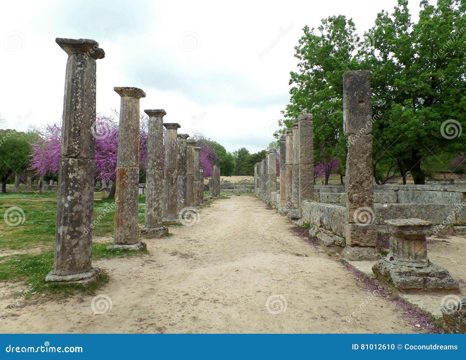 Stunning Ruins Of Palenque Archaeological Site And Its Well-preserved ...