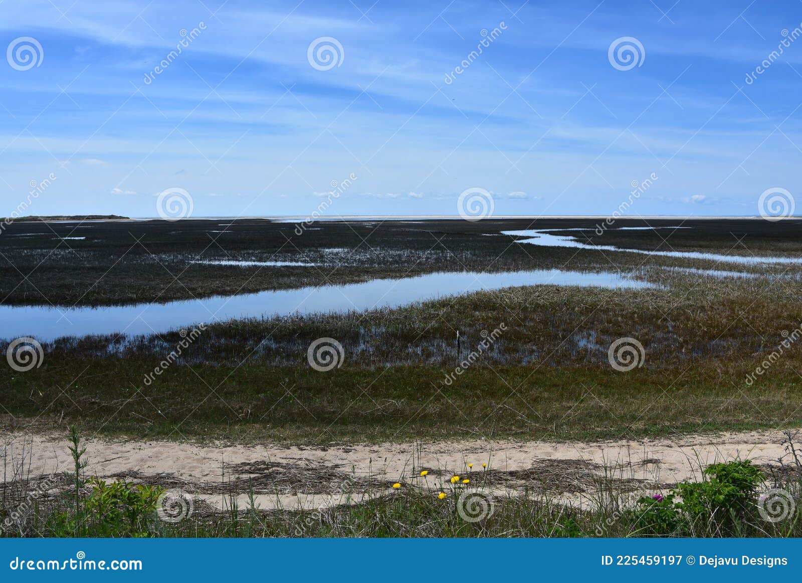 Stunning Scenic Views of Tidal Flats on the Cape Stock Image - Image of ...