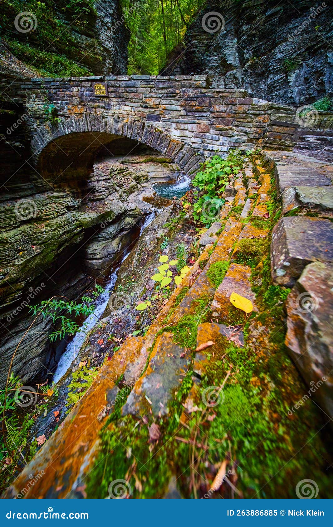 Stunning Stone Walkway Bridge Over Waterfall Gorge with Moss and Lichen ...