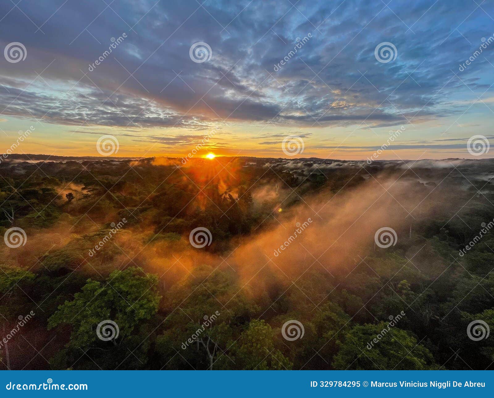 Stunning Sunrise in the Amazon Rainforest in the Morning Mist Stock ...