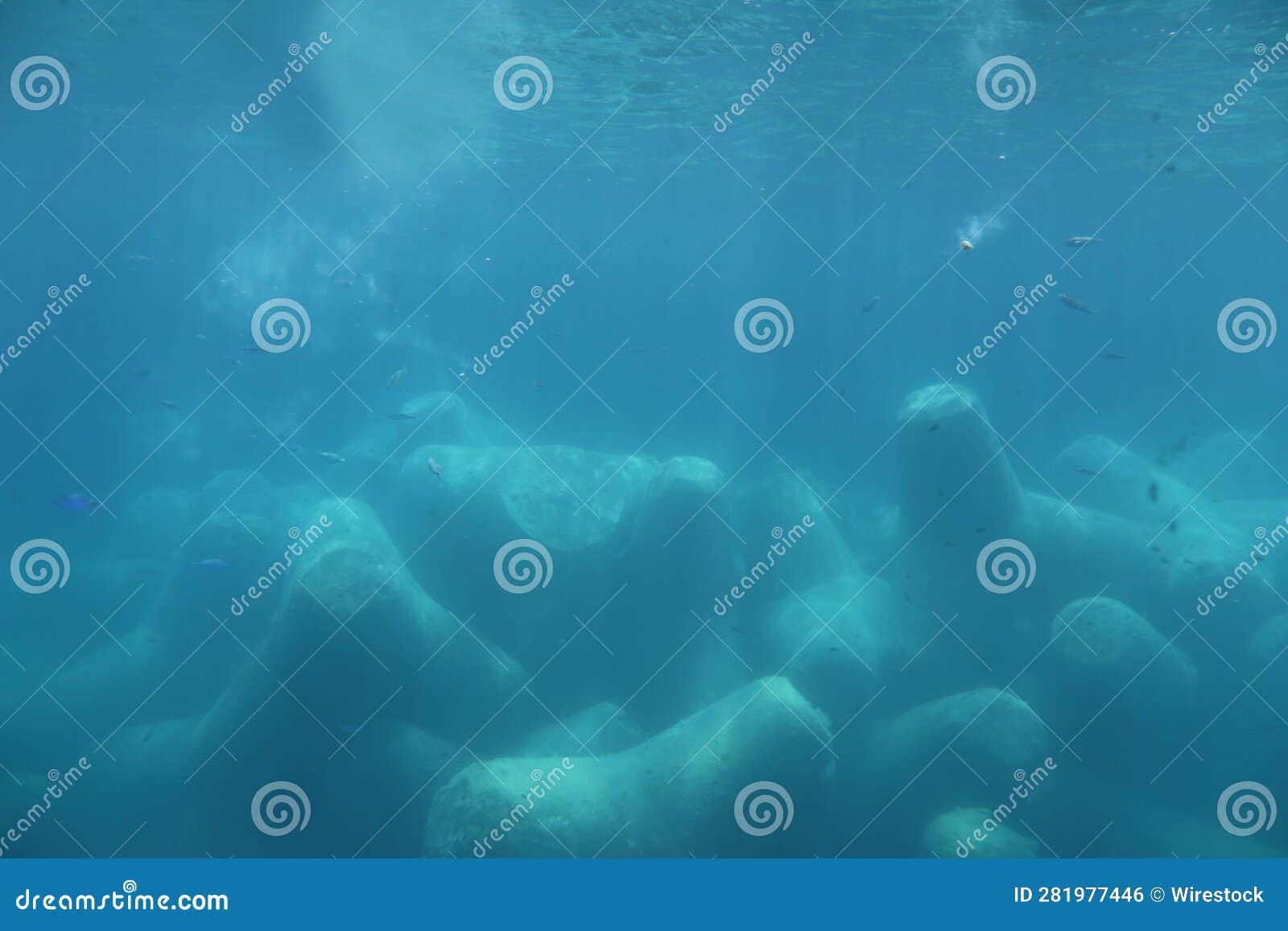Stunning Underwater Scene of the Ocean Floor with Rocks Stock Photo ...