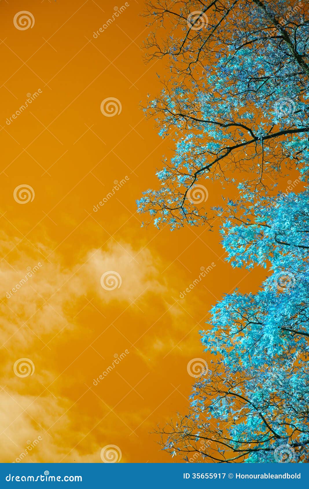 Stunning Unusual False Color Tree and Sky Landscape Stock Image - Image ...