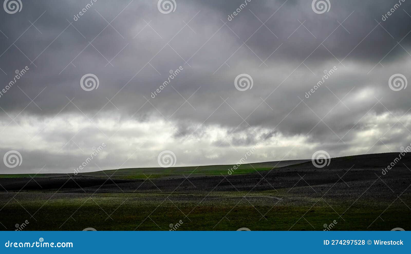 Stunning View of an Expansive Grassy Plain Field Stock Photo - Image of ...