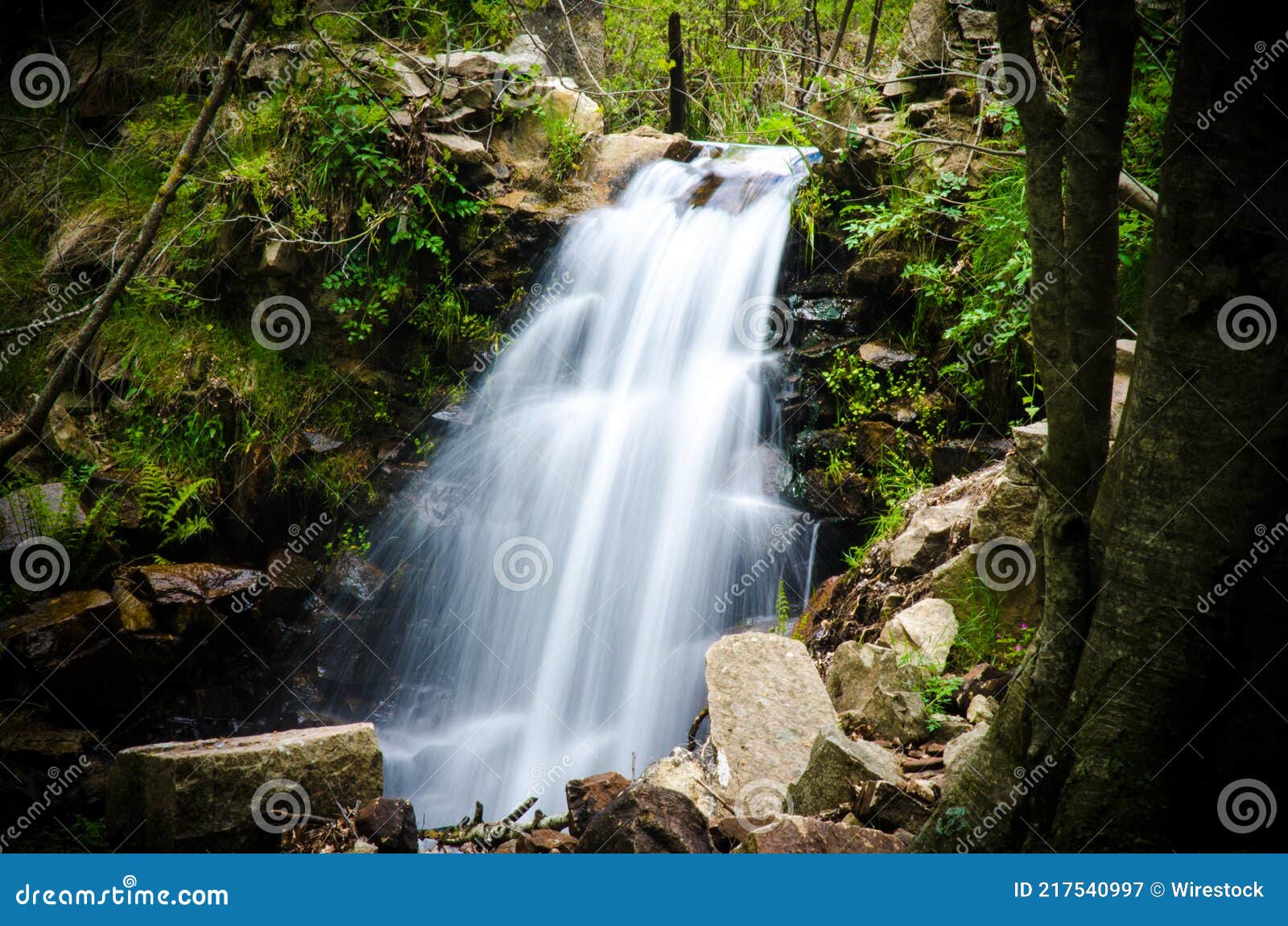 Stunning View of a Flood Foamy Waterfall Running Down from a Grassy ...