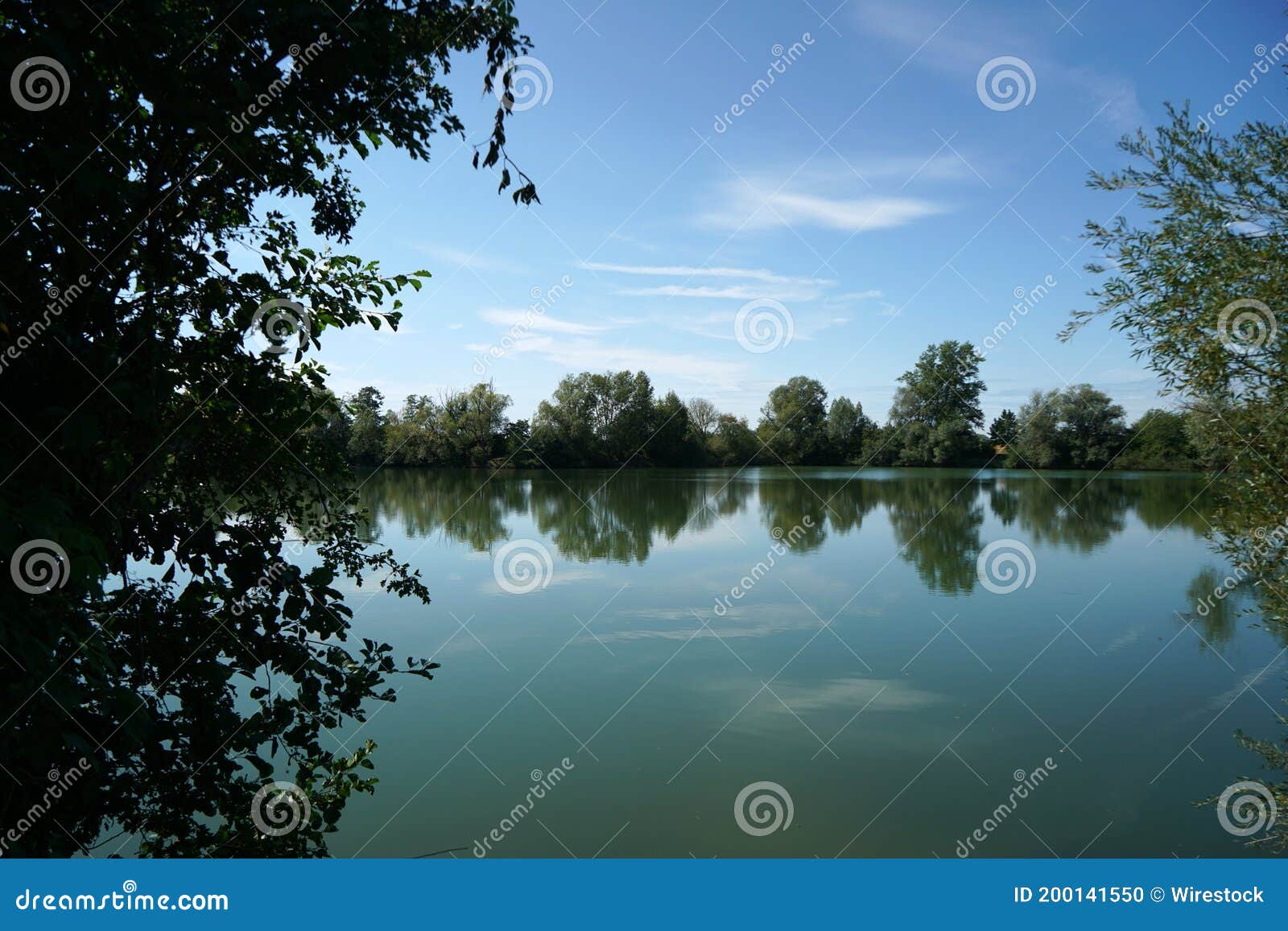 Stunning View of Lake Water with Tree Reflections Stock Photo - Image ...