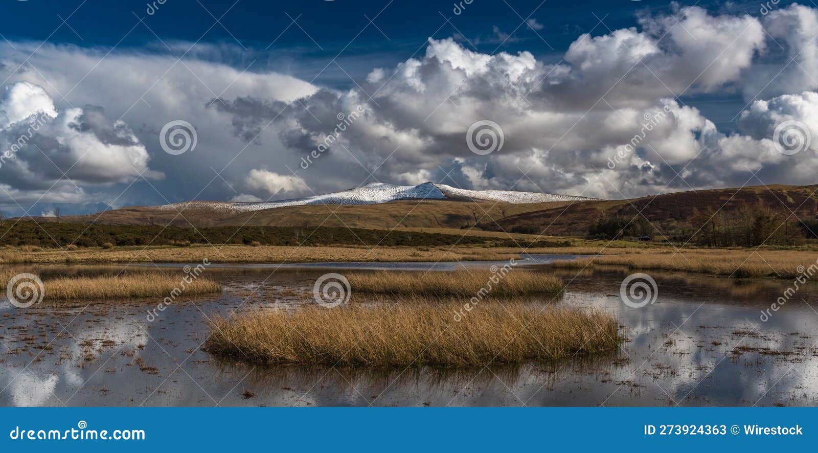 Stunning View of a Marsh with a Mountain Range, and Beautiful Low ...