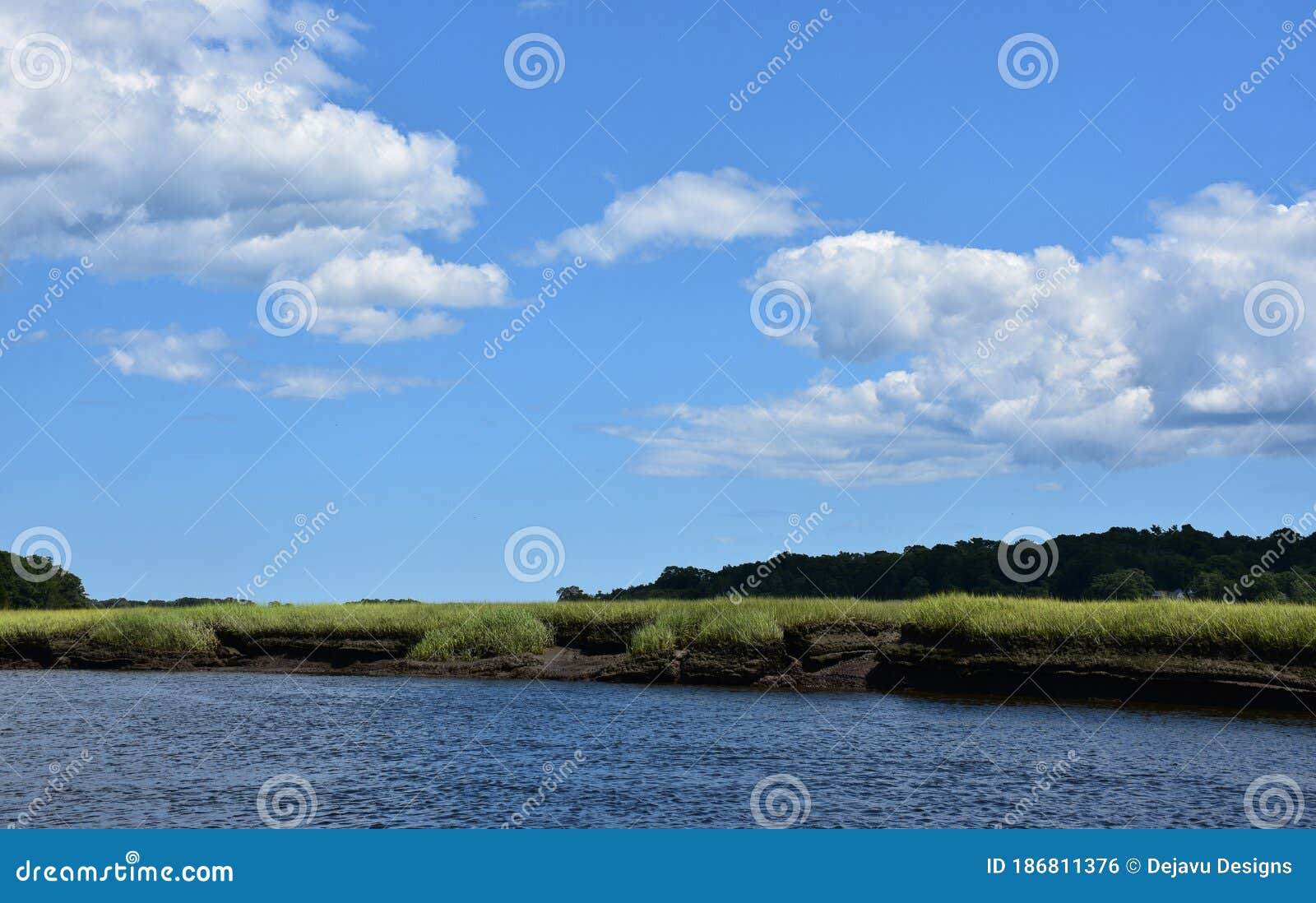 Stunning View of Marshland Under White Cloudy Skies Stock Photo - Image ...