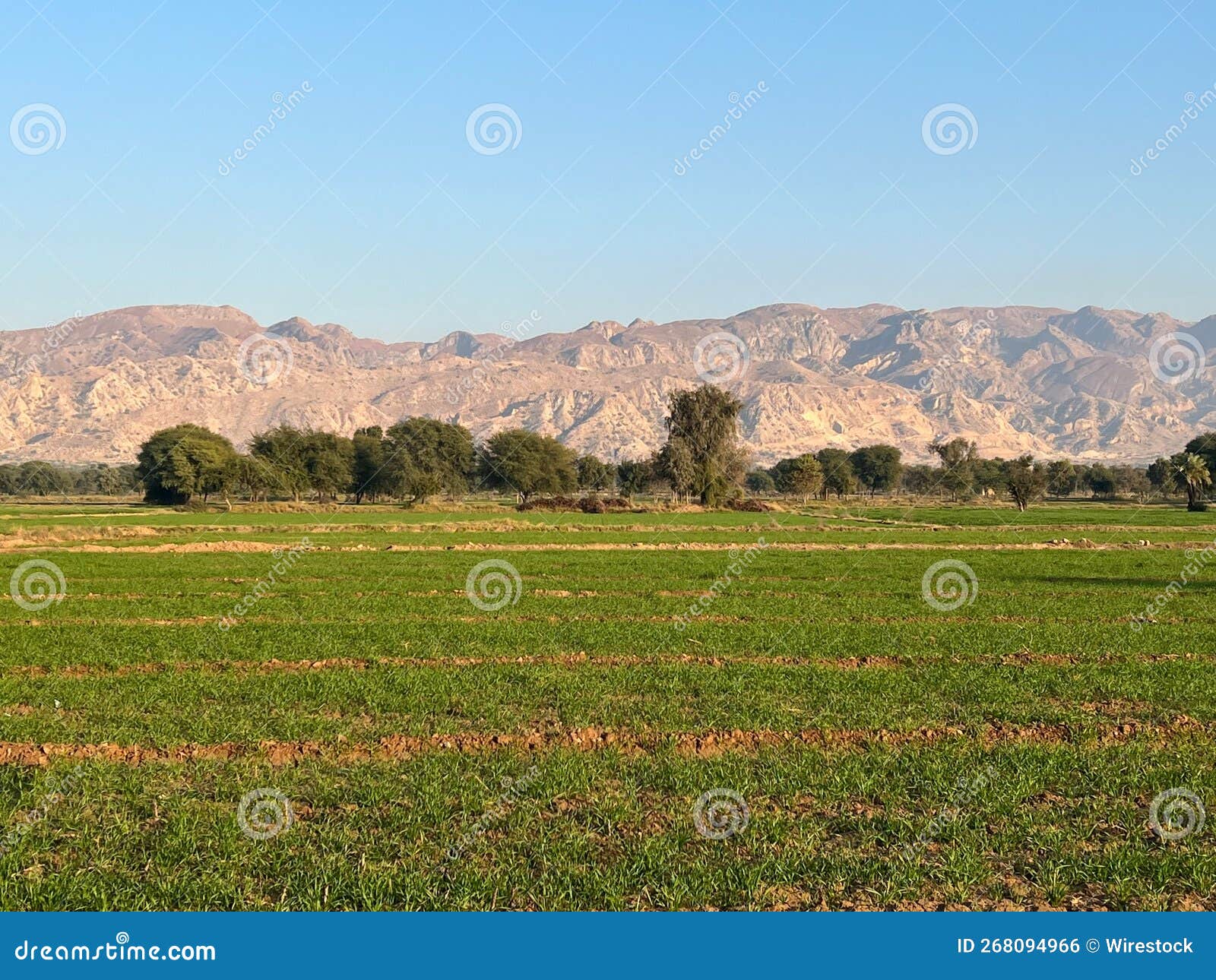 Stunning View of a Mianwali Thathi Kacha Landscape Stock Photo - Image ...