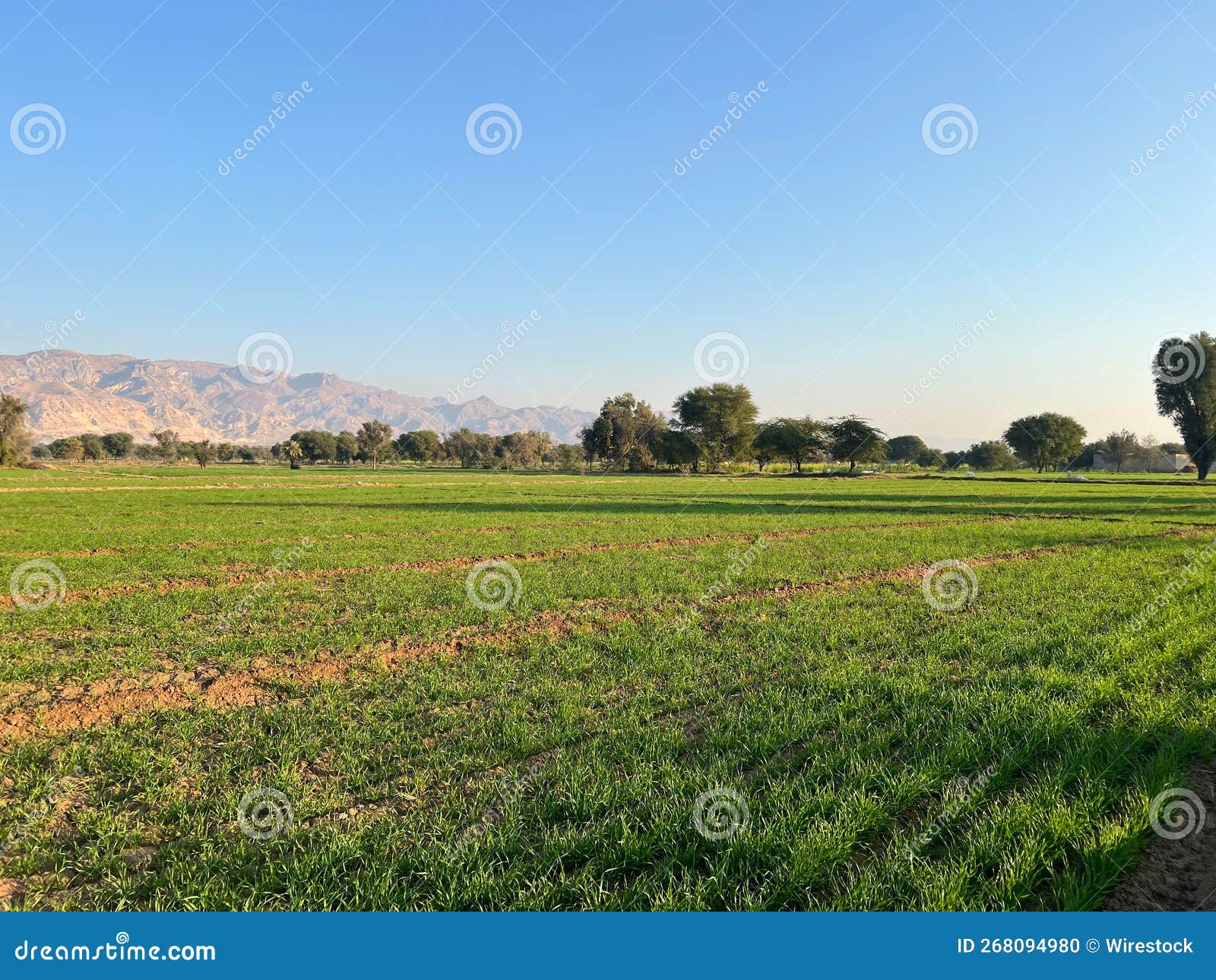 Stunning View of a Mianwali Thathi Kacha Landscape Stock Photo - Image ...