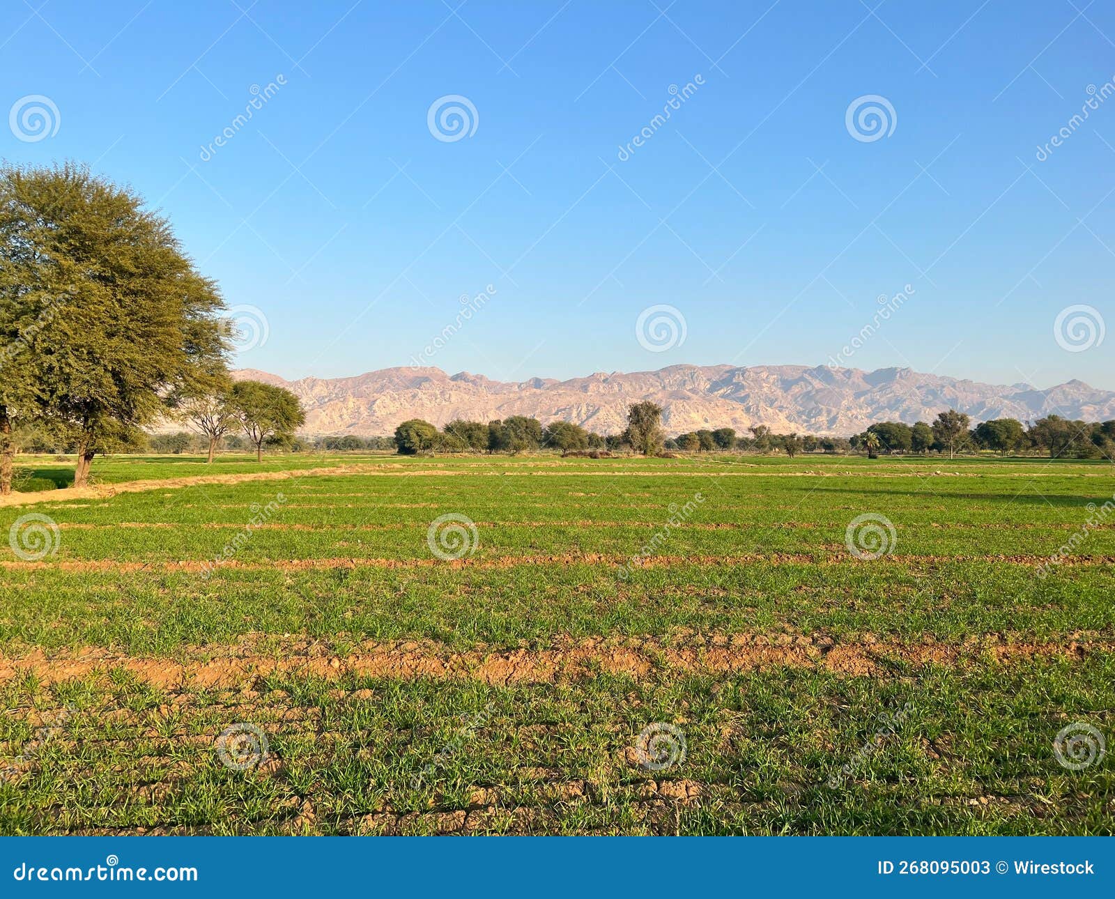 Stunning View of a Mianwali Thathi Kacha Landscape Stock Image - Image ...