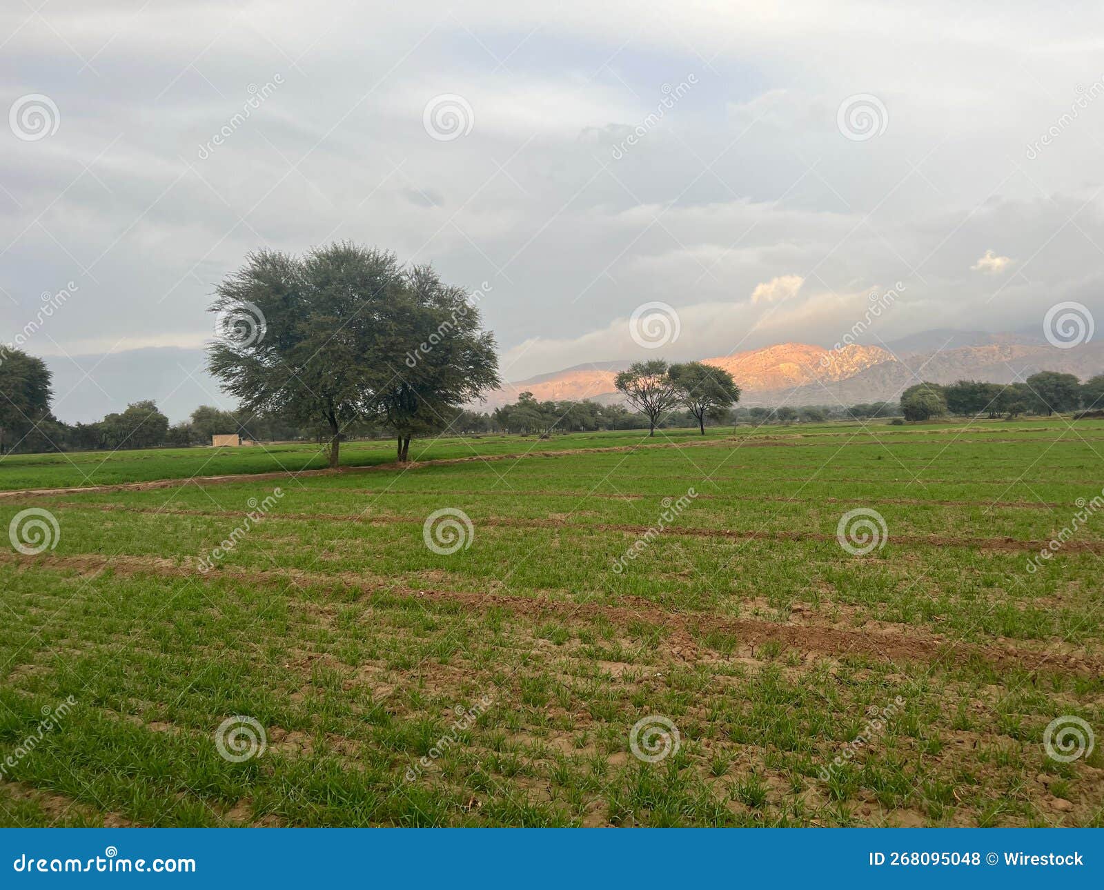 Stunning View of a Mianwali Thathi Kacha Landscape Stock Photo - Image ...