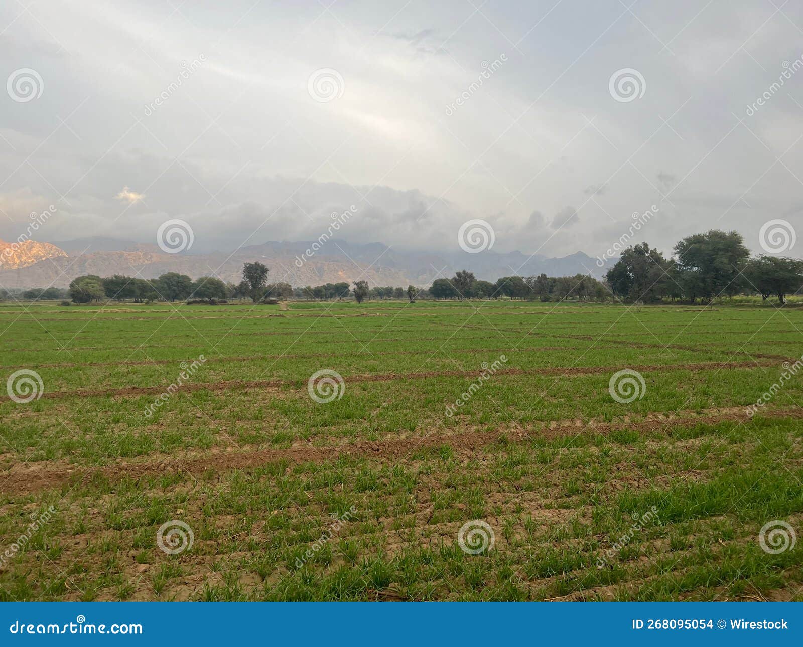 Stunning View of a Mianwali Thathi Kacha Landscape Stock Photo - Image ...