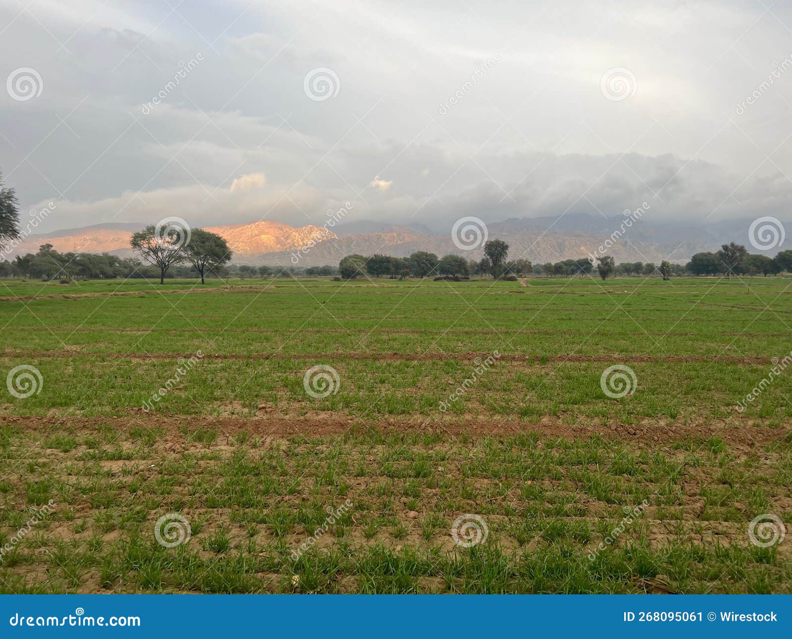 Stunning View of a Mianwali Thathi Kacha Landscape Stock Image - Image ...