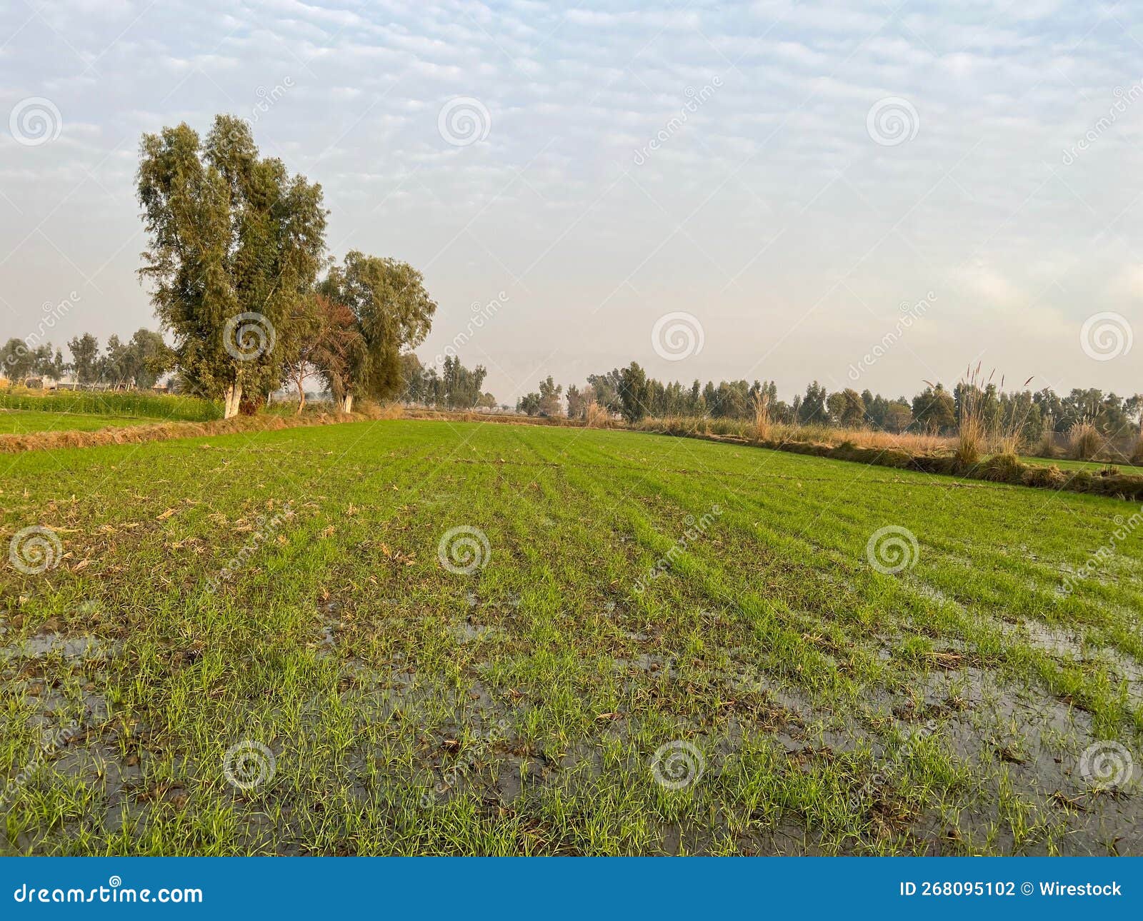 Stunning View of a Mianwali Thathi Kacha Landscape Stock Photo - Image ...