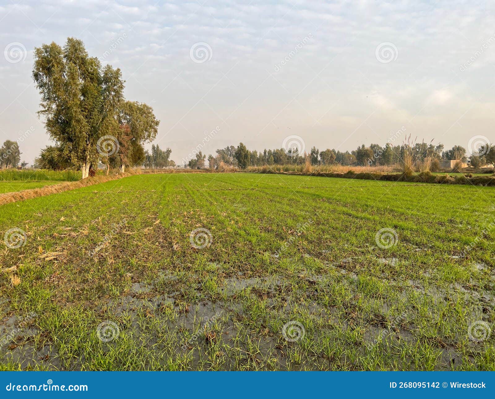 Stunning View of a Mianwali Thathi Kacha Landscape Stock Photo - Image ...