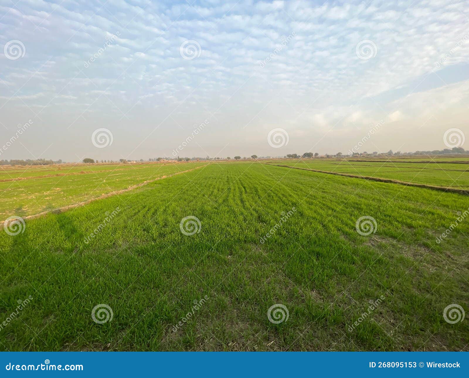 Stunning View of a Mianwali Thathi Kacha Landscape Stock Image - Image ...