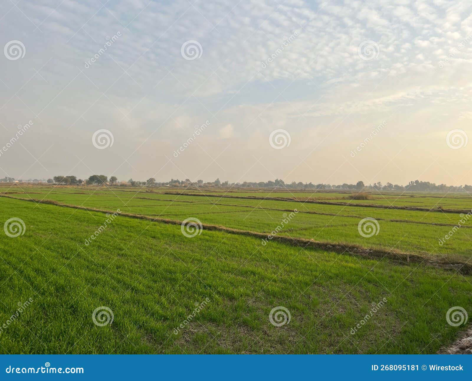 Stunning View of a Mianwali Thathi Kacha Landscape Stock Image - Image ...