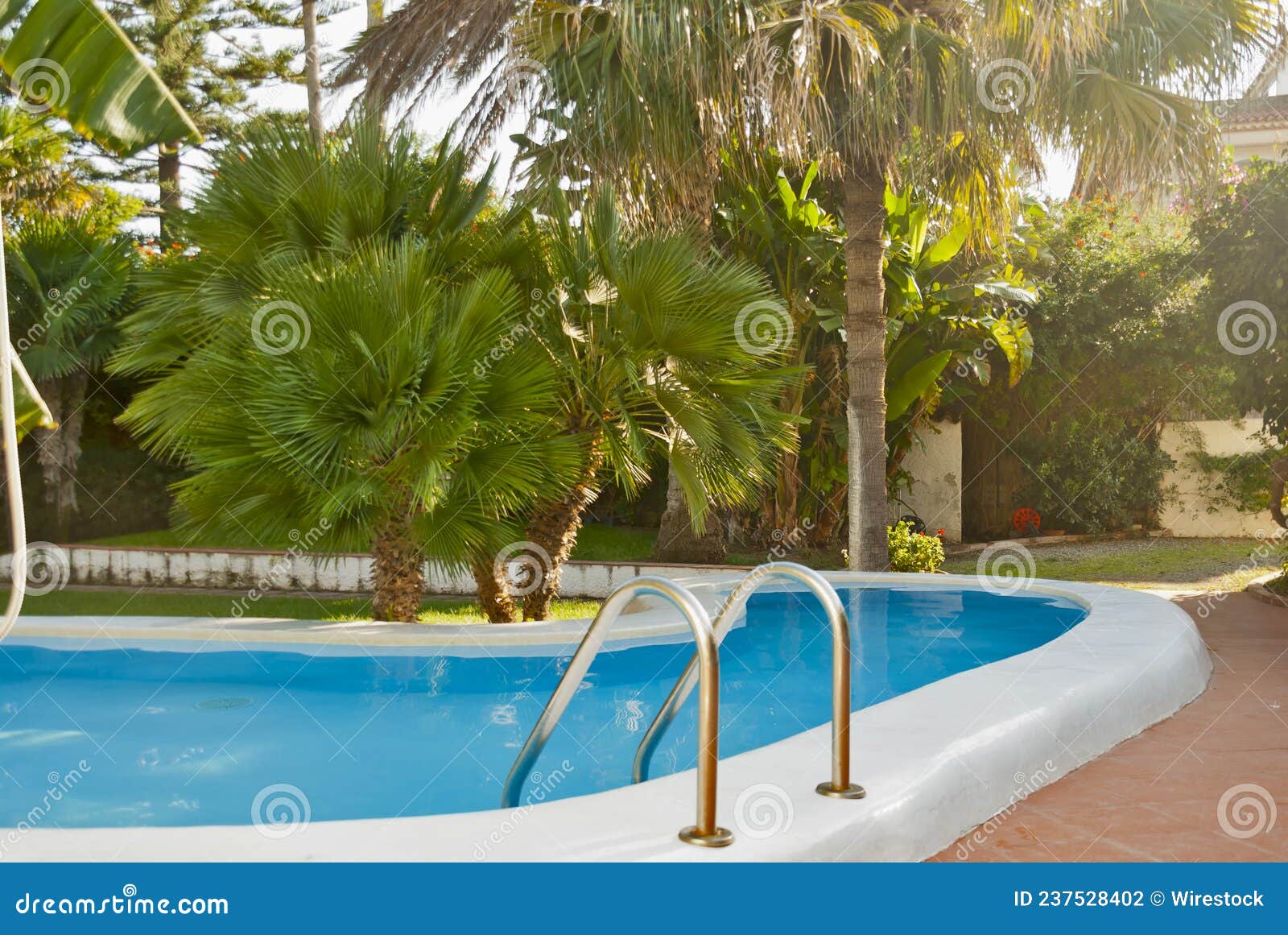 Stunning View of a Pool Surrounded by Trees Stock Photo - Image of bark ...