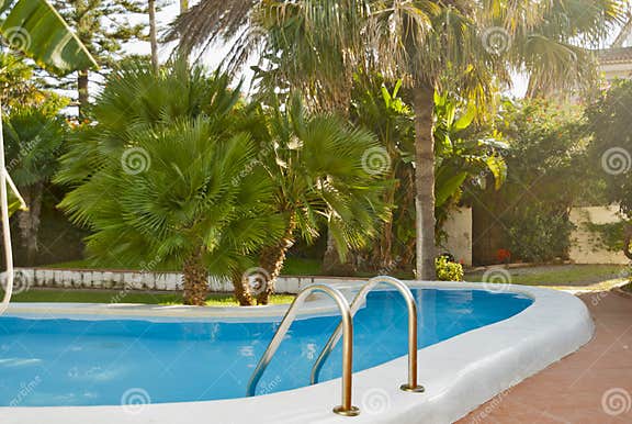 Stunning View of a Pool Surrounded by Trees Stock Photo - Image of bark ...