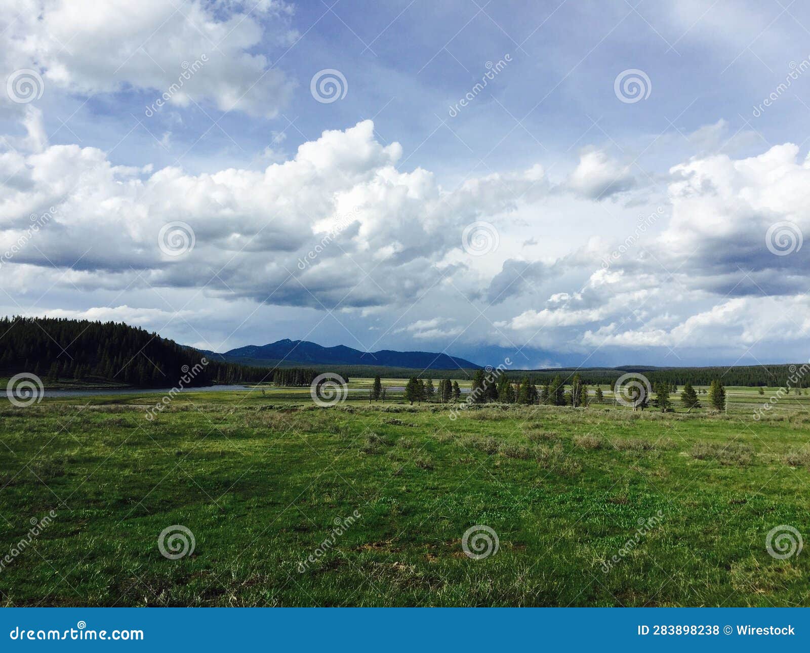 Stunning View of a Prairie Landscape with a Mountain Range in the ...