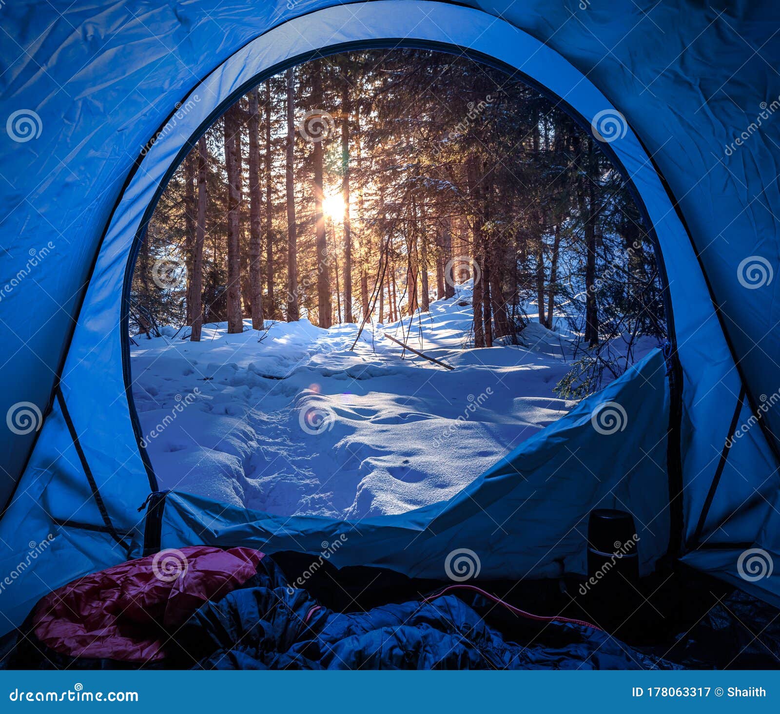 Stunning View from Tent To Snowy Forest in Winter Stock Image - Image ...