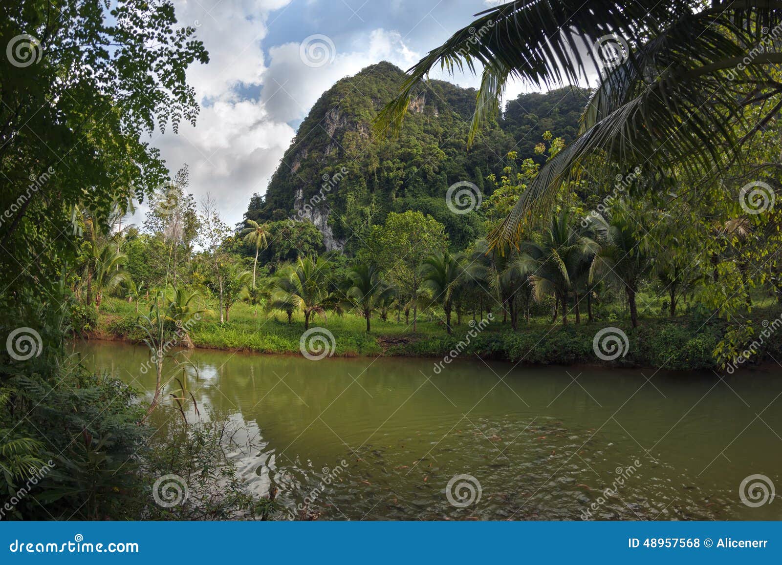 Stunning View To the Karst Formation Hills, River with Fish and Stock ...