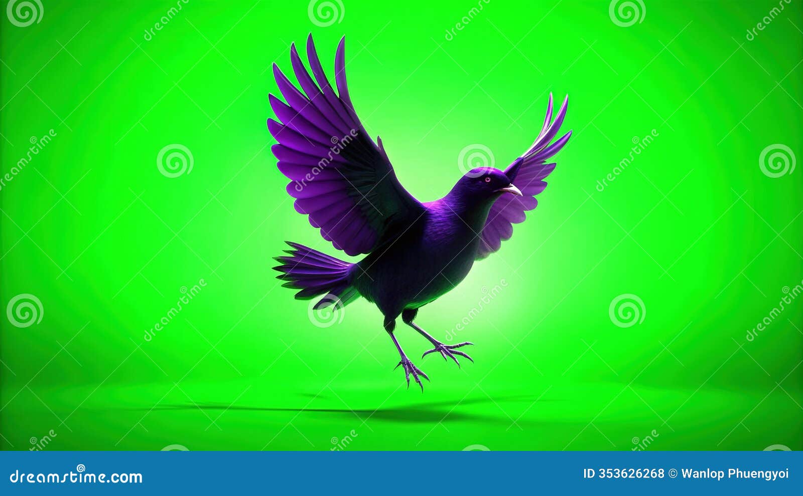 Stunning Violet Flying Chicken Loop Animation Seamless Motion Graphics ...