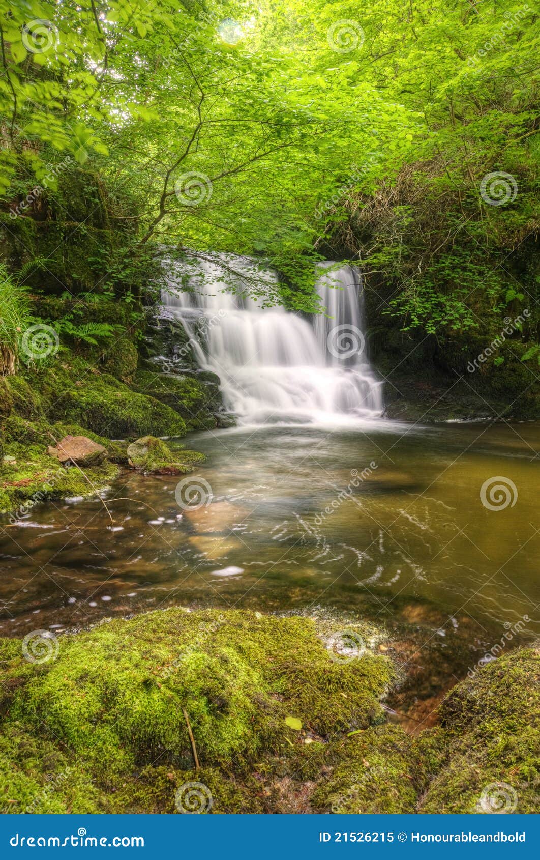 Stunning Waterfall Flowing Over Rocks in Forest Stock Image - Image of ...