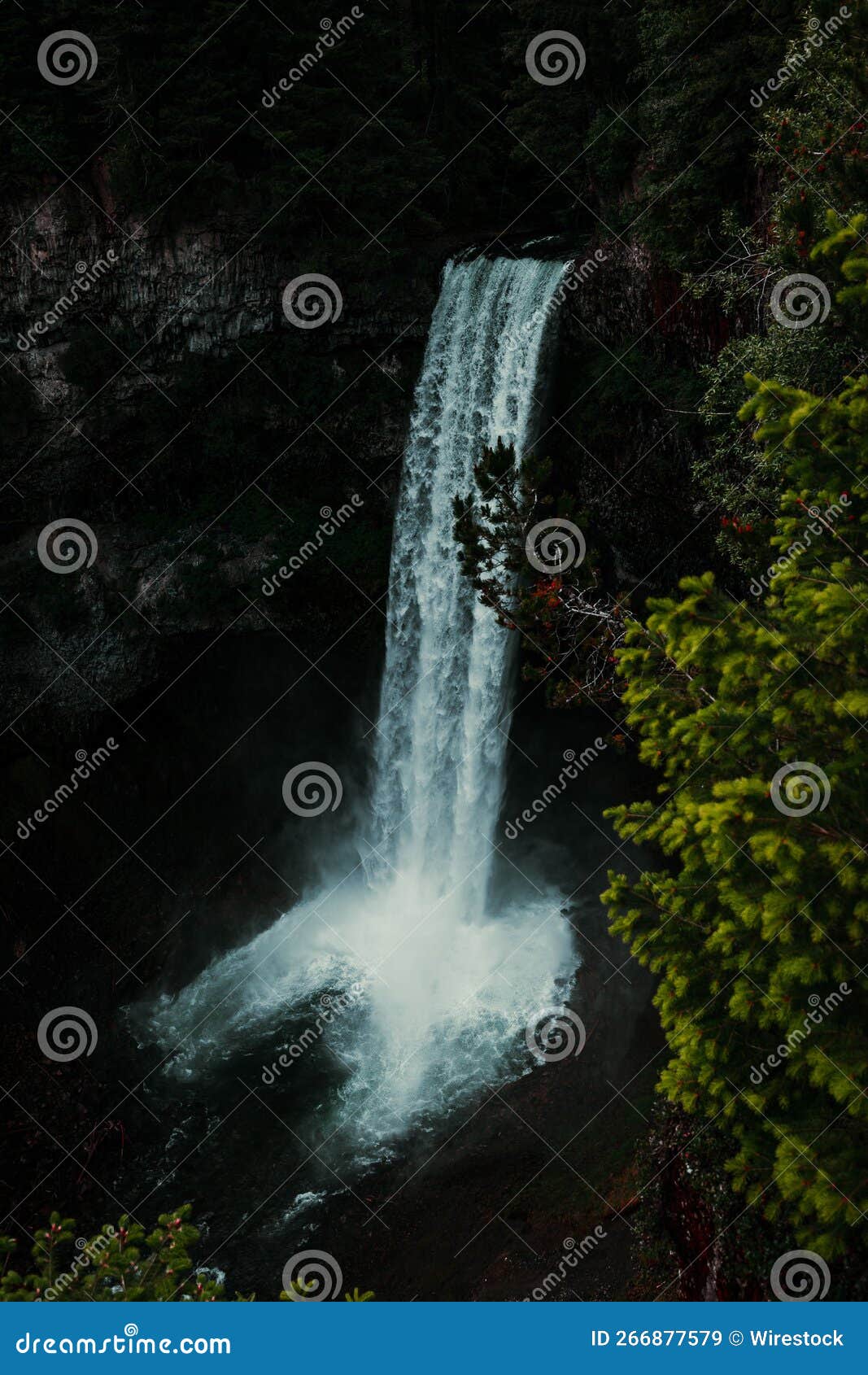 Stunning Waterfall Flowing into a River Stock Image - Image of trees ...