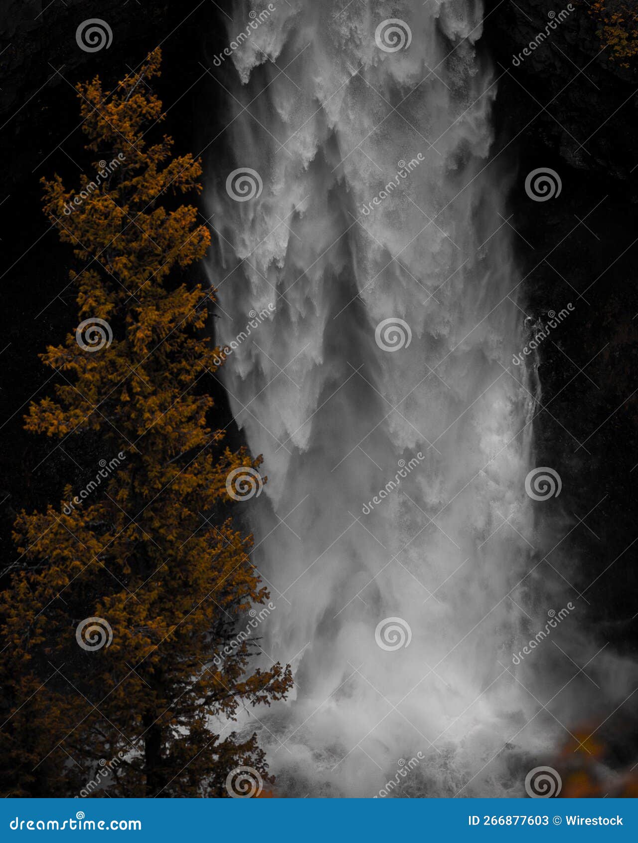 Stunning Waterfall Flowing into a River Stock Image - Image of ...