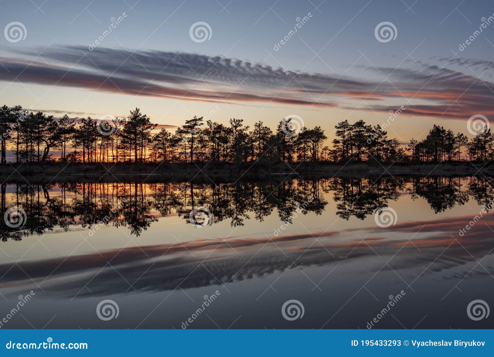 Stunningly Beautiful View of the Evening Sky Over a Forest Lake Stock ...