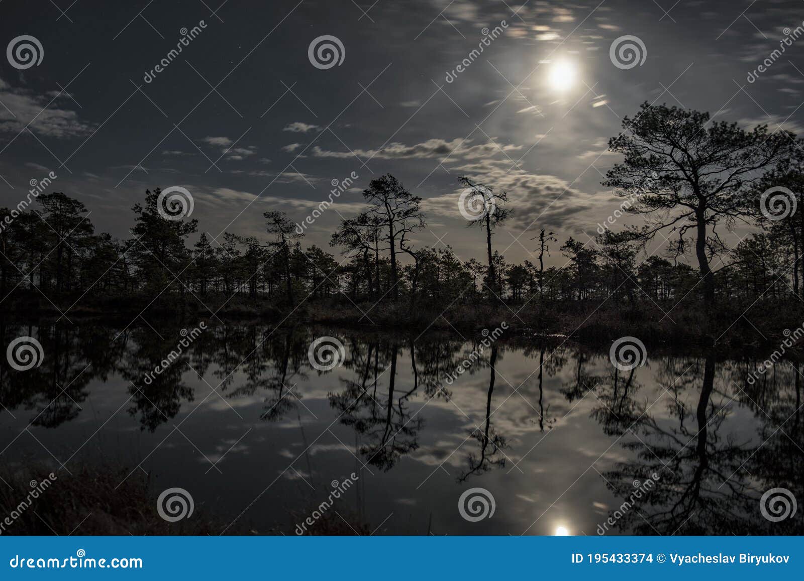Stunningly Beautiful View of the Night Sky Over a Forest Lake Stock ...