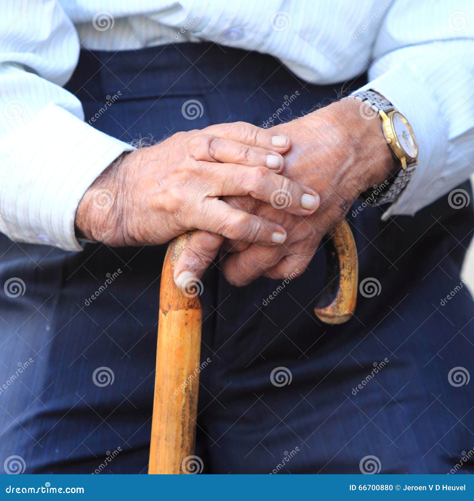 Stunted growth stock photo. Image of hand, stick, misshapen - 66700880