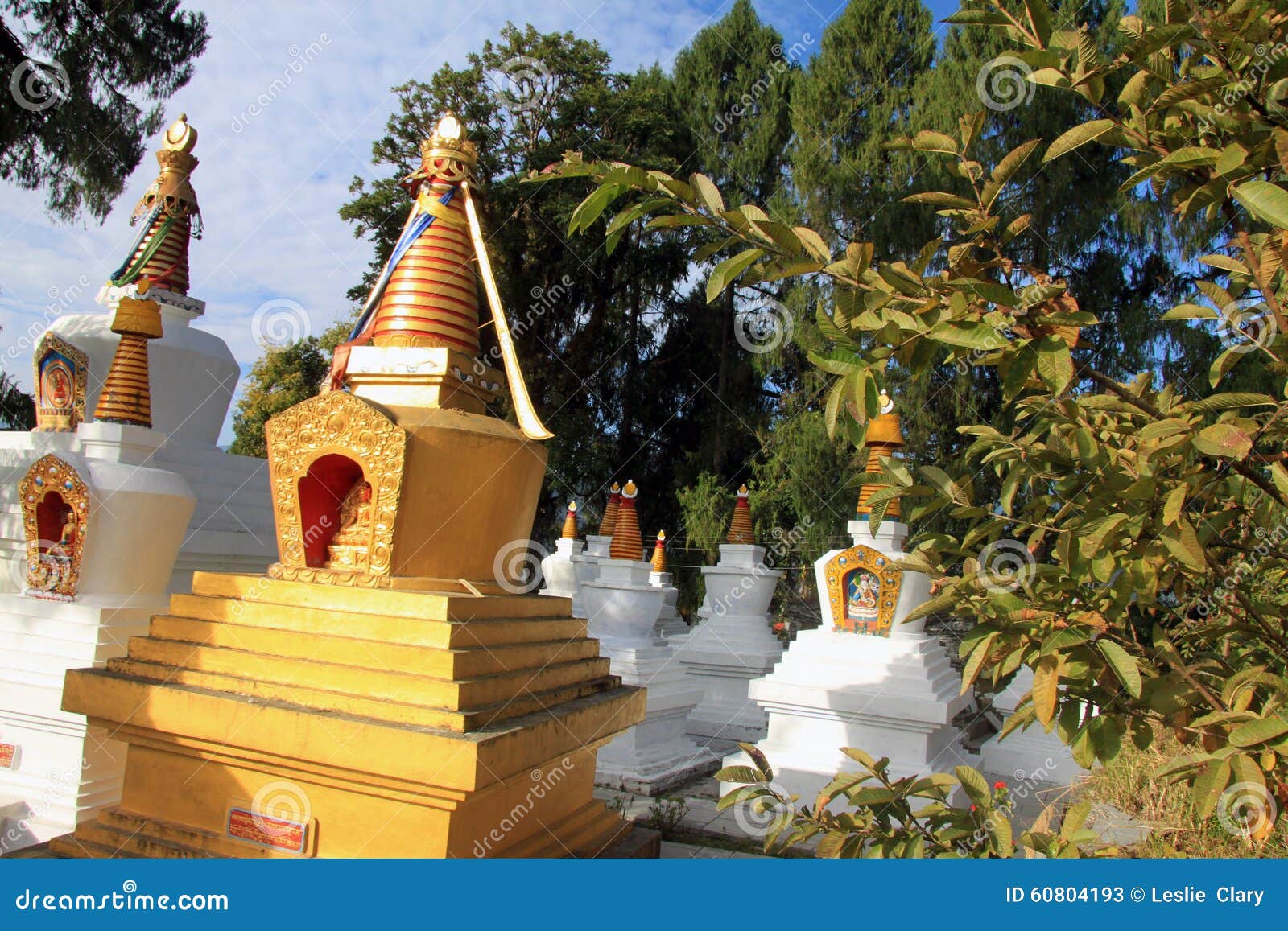 Stupas at Tashiding Monastery Stock Image - Image of flags, scriptures ...