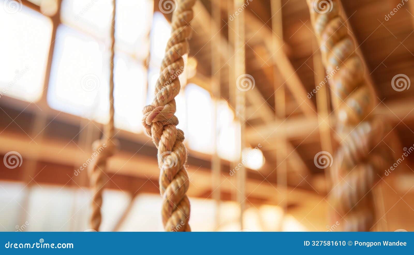 Sturdy Climbing Rope Hanging from Ceiling in Gym Stock Illustration ...