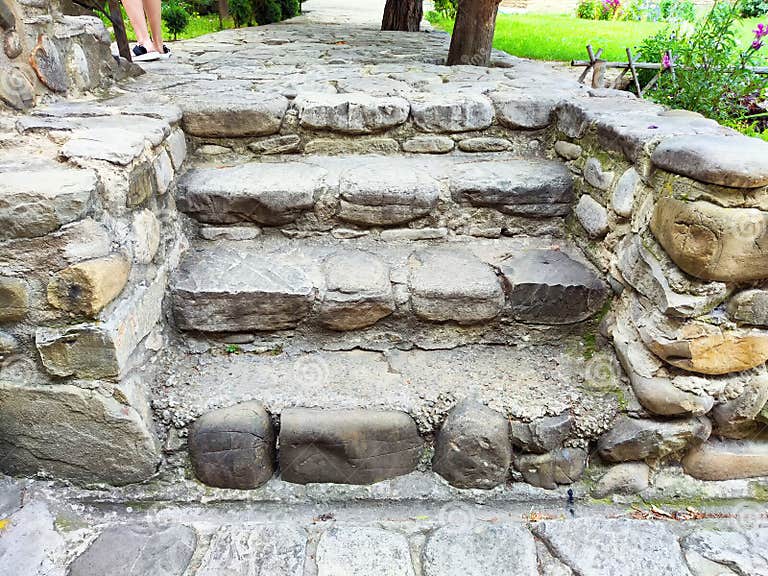 Sturdy Stone Steps Lead through Lush Greenery in a Tranquil Garden ...