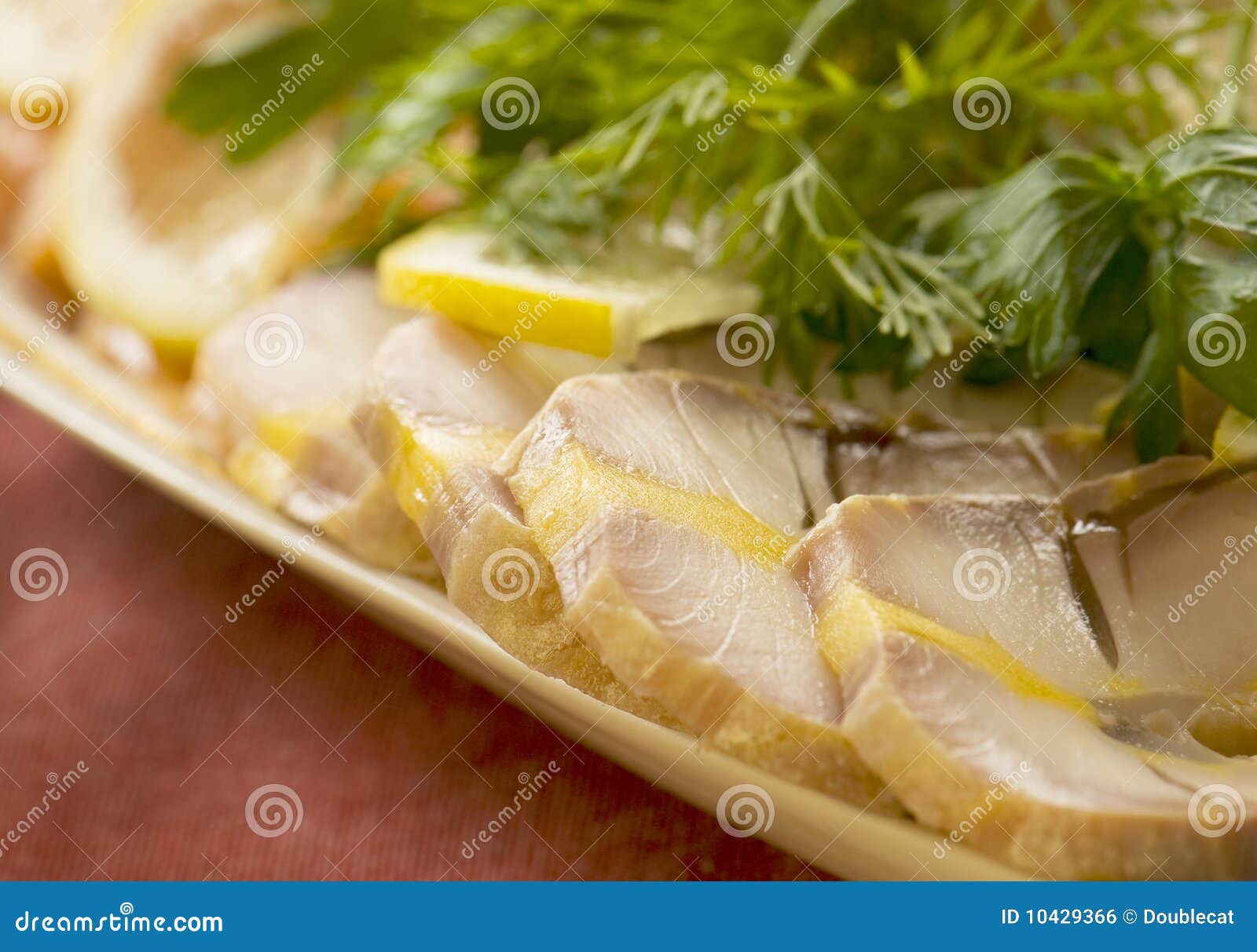 Sturgeon stock photo. Image of herb, green, prepared - 10429366