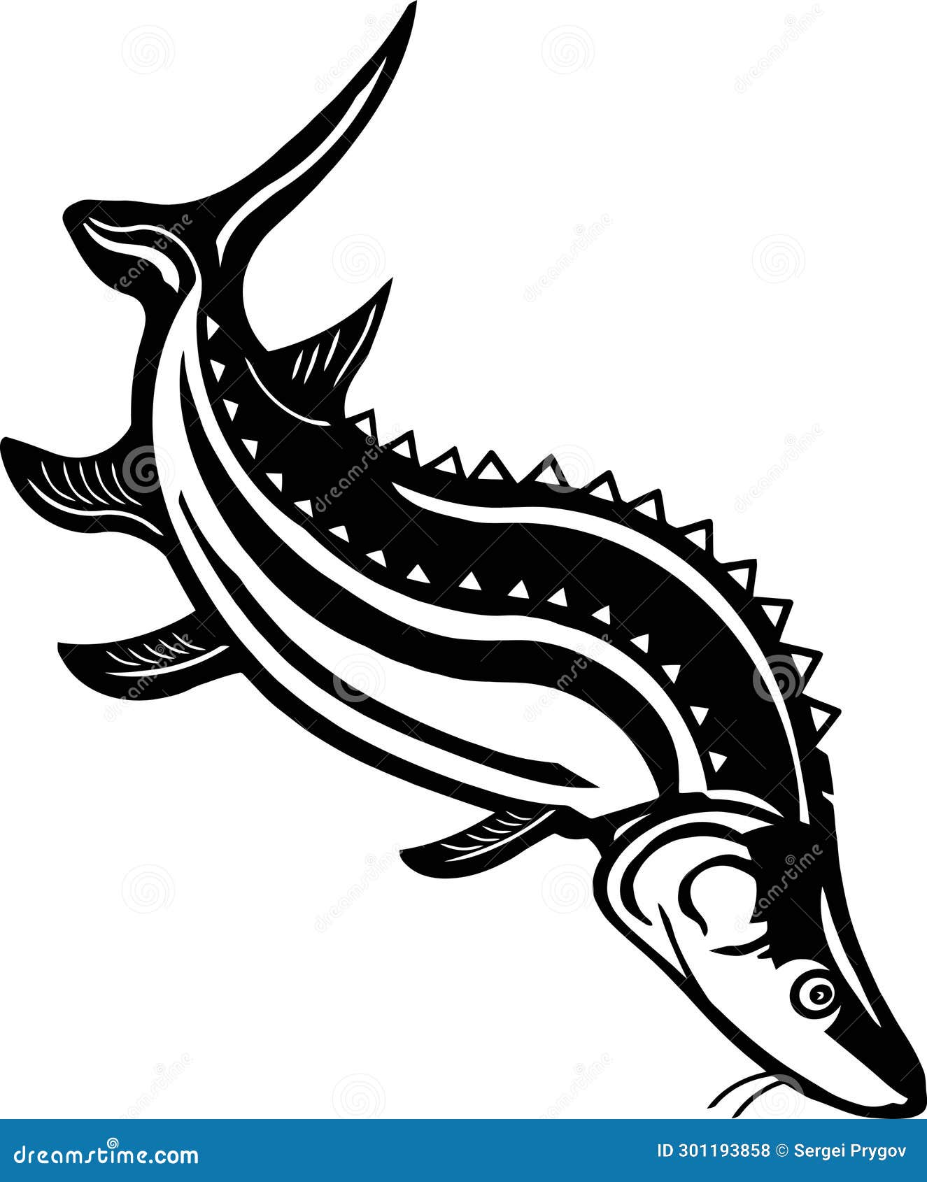 Sturgeon - American Fishes - Logo Fish Stock Photography ...