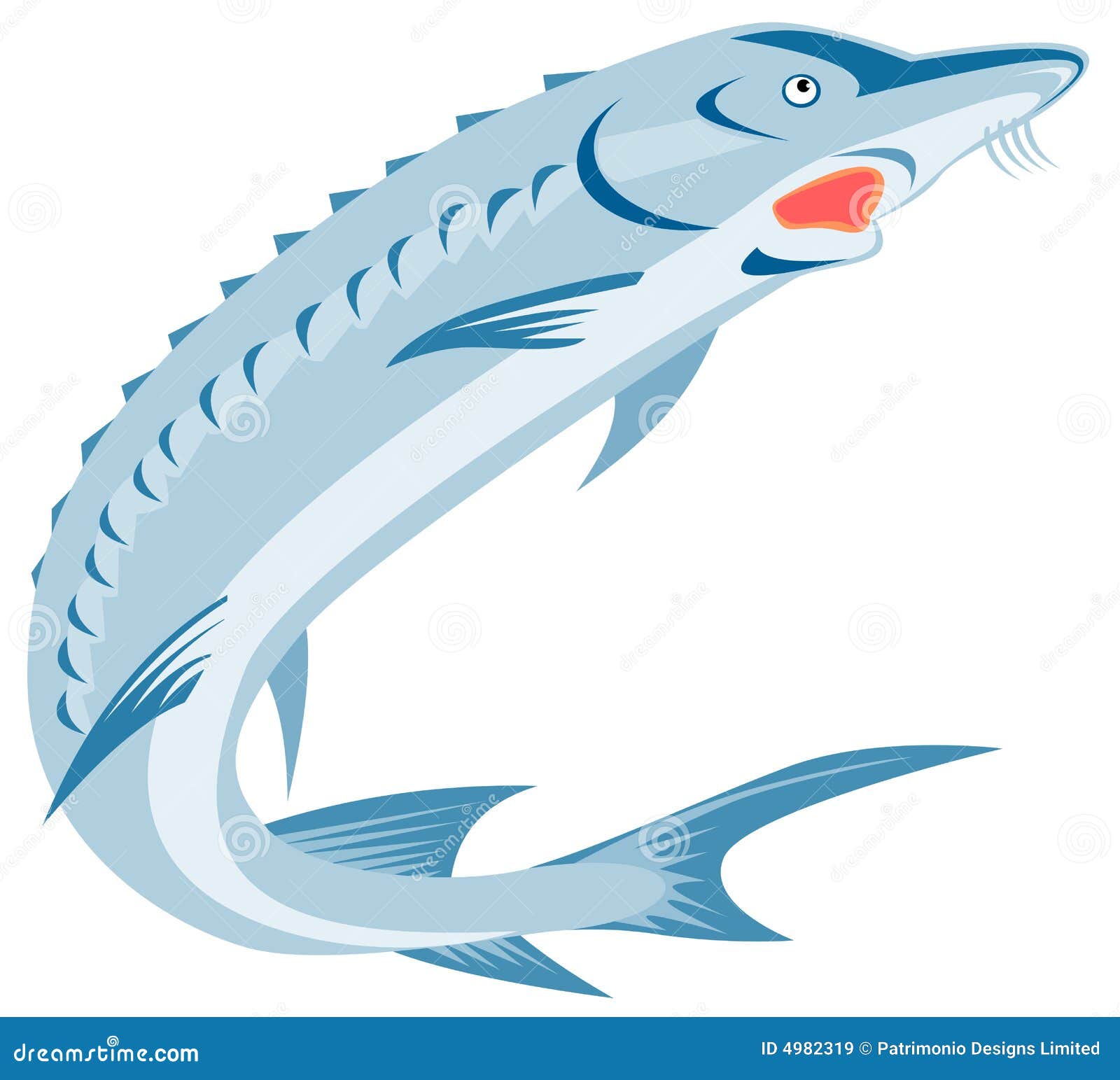Sturgeon Fish Stock Illustrations – 1,904 Sturgeon Fish Stock ...