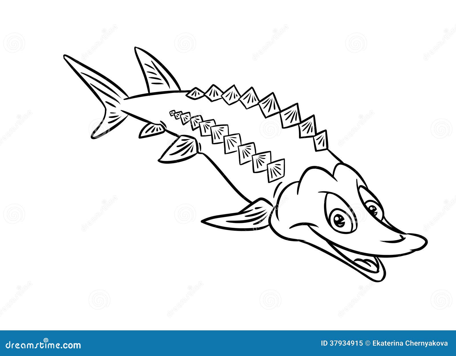 Atlantic Sturgeon Drawing