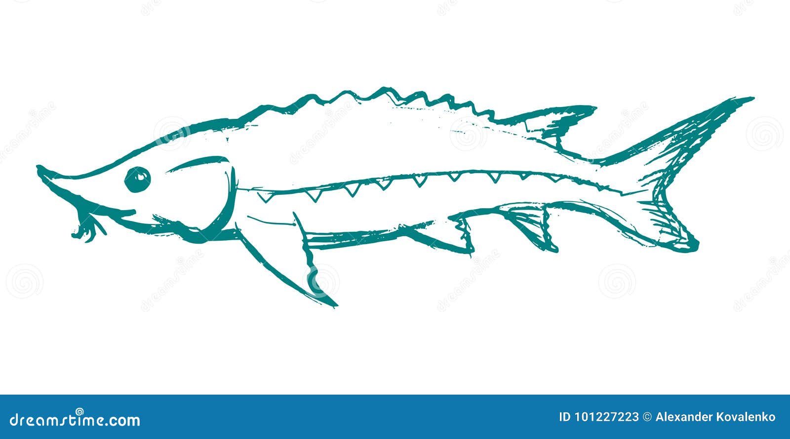 Sturgeon Freshwater Fish Royalty-Free Cartoon | CartoonDealer.com ...
