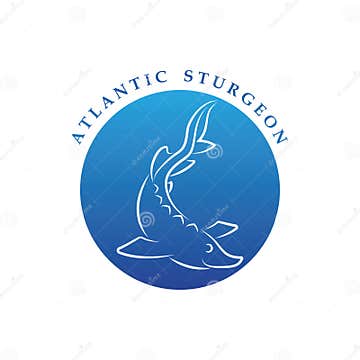 Sturgeon logo vector stock vector. Illustration of symbol - 277468294